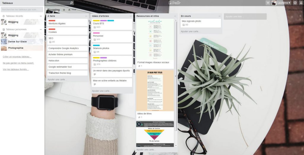 Capture-trello - Par les yeux de la coccinelle
